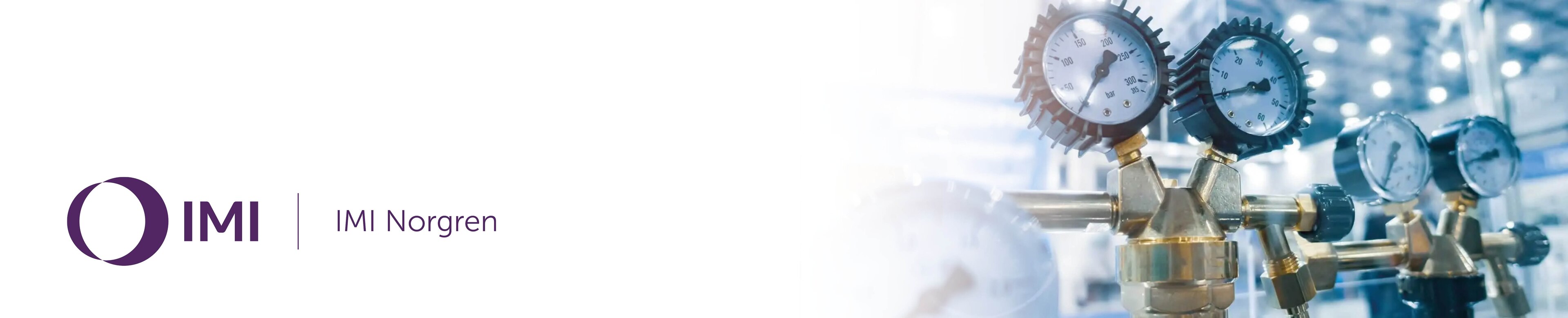 308 Permanent Redirect